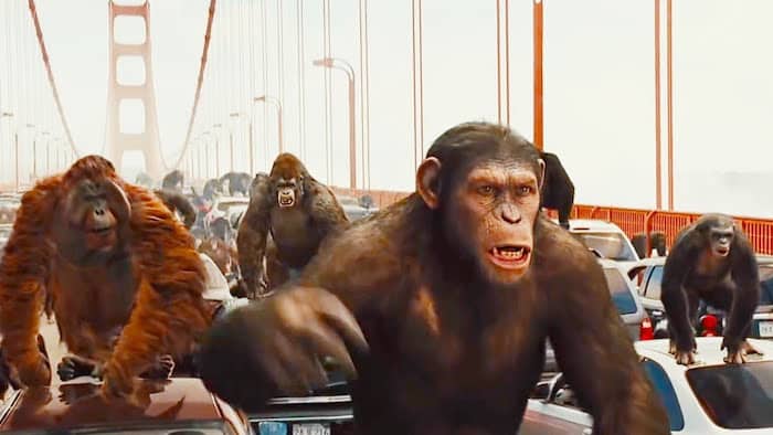 Top 10 Chaotic Films And The Scenes That Gripped Us