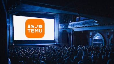 Bargain Temu Items for Movie Lovers!